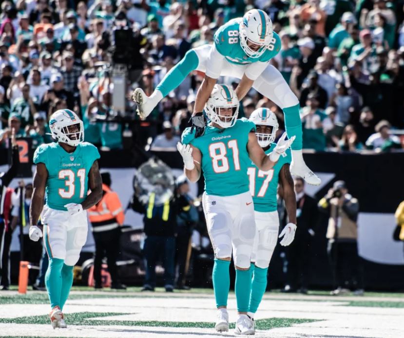 Miami Dolphins Fan Page - Dolphins Thirsty - Dolphins Thirsty